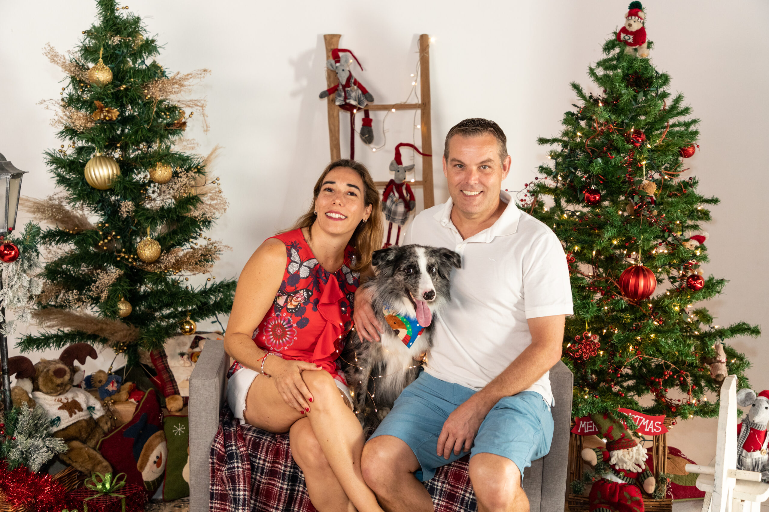 Chris Palmer - Pet Vet Sales